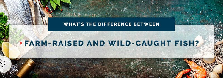 Know What: Farm-Raised vs Wild-Caught – Fish Club
