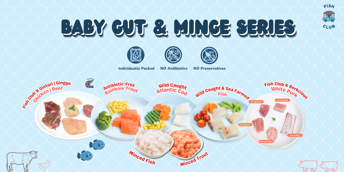 For Baby – Fish Club