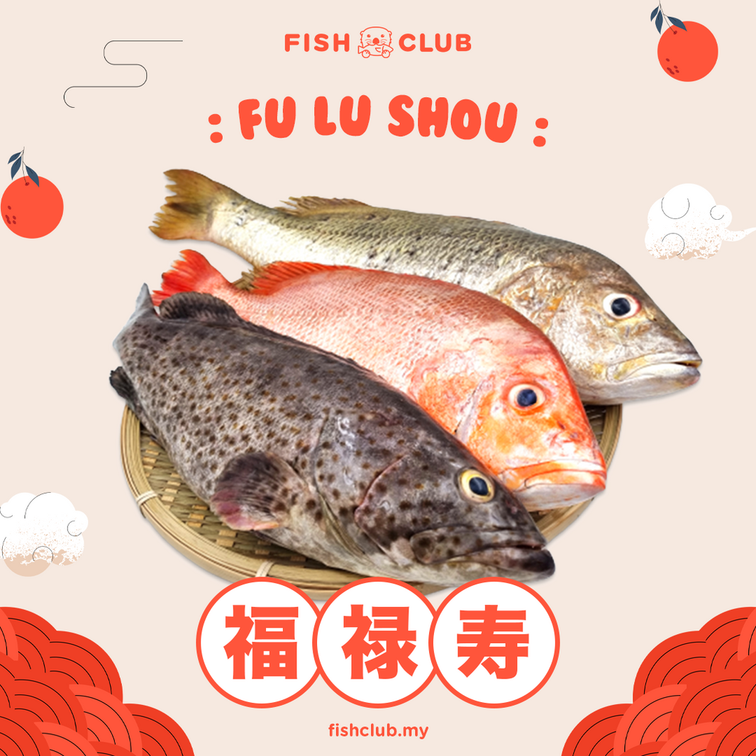 From the sea to your door - The Fish Club | Directly from Fisherman