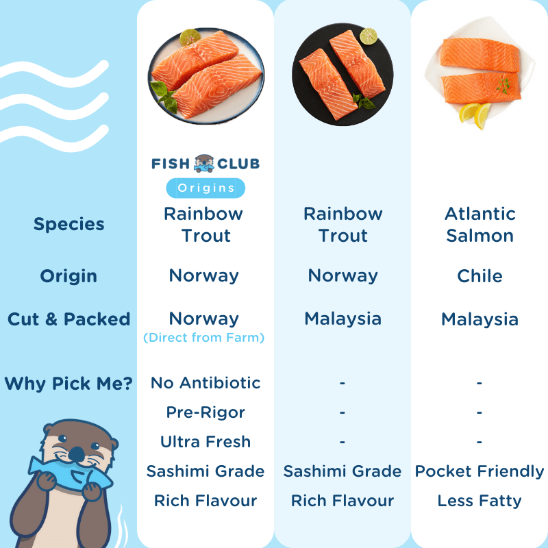 Norwegian Rainbow Trout (Half Fish) / 挪威虹鳟（半条） – Fish Club