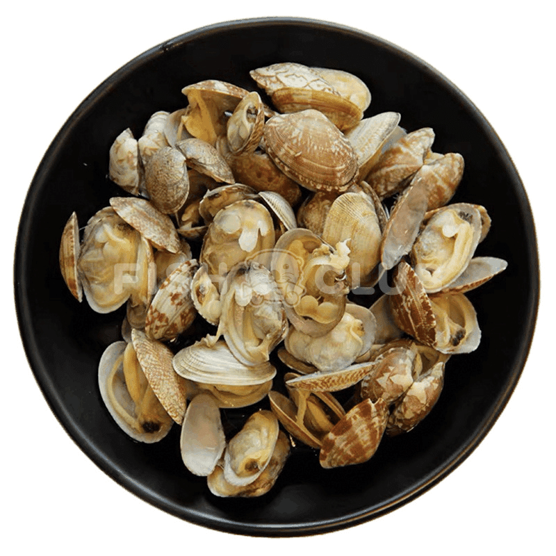 Short Neck Clam / 花蛤 (啦啦) / Lala - 500g – Fish Club