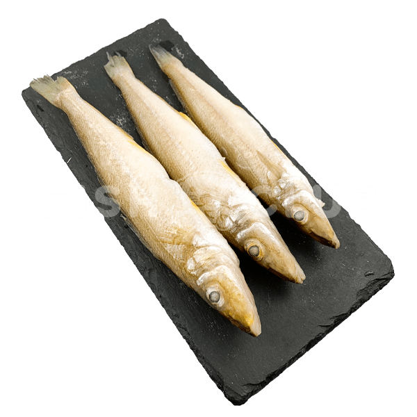 Silver Sillago (Indonesia Wild) / 沙尖 - 500g – Fish Club