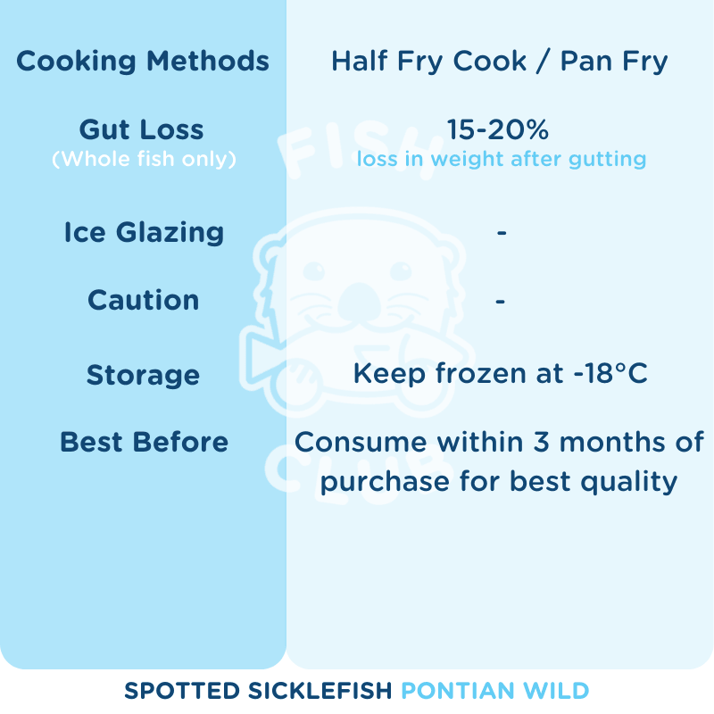 Spotted Sicklefish (Pontian Wild) / 曹喜（笨珍野生） – Fish Club