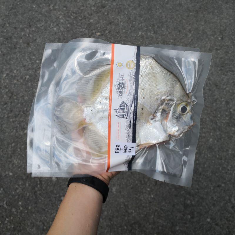 Spotted Sicklefish (Pontian Wild) / 曹喜（笨珍野生） – Fish Club